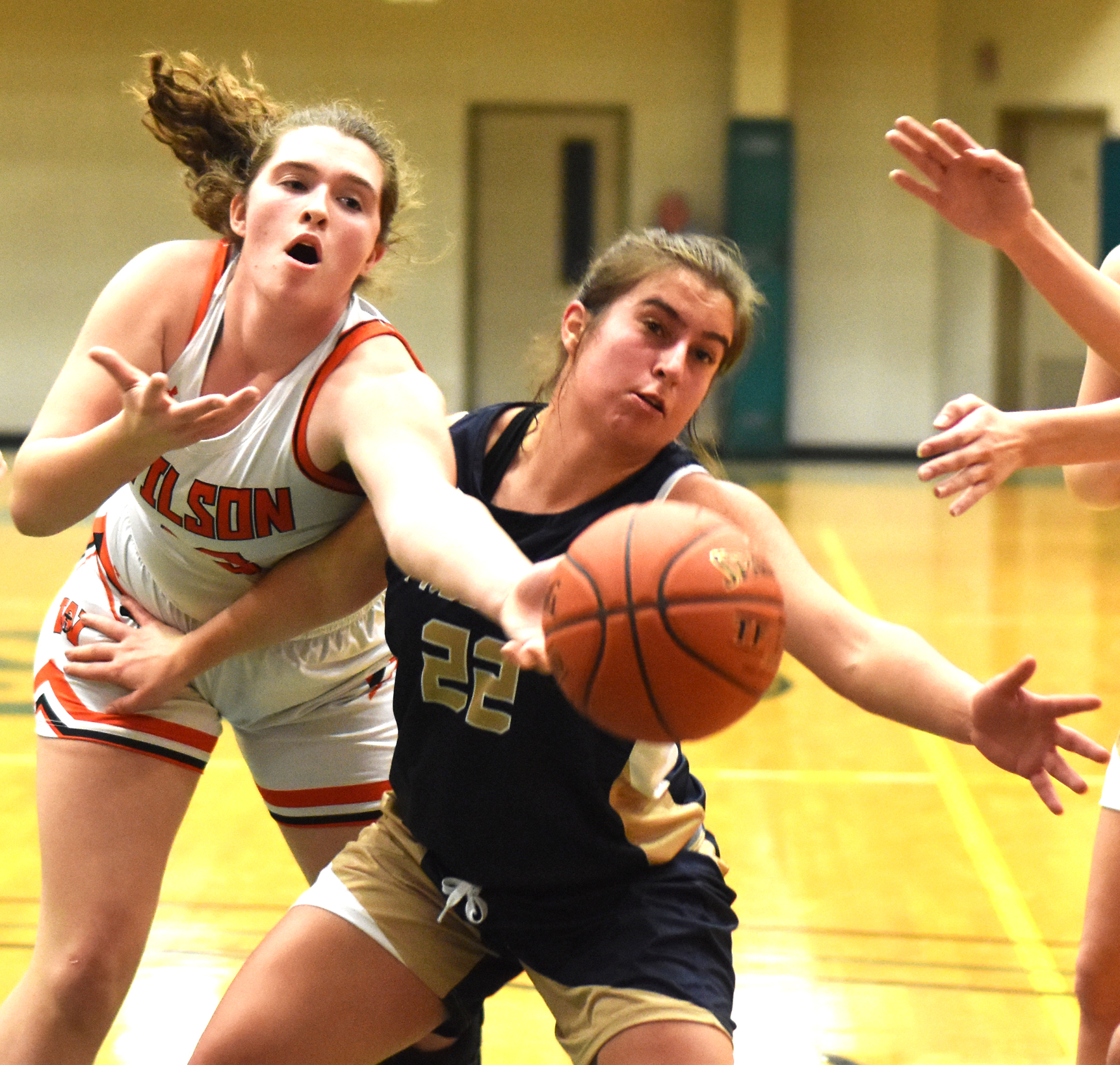 Lundmark-Led Falconer Upsets No. 1 Wilson | News, Sports, Jobs - Post ...